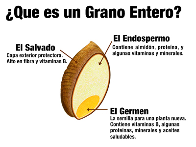 ¿Que es un Grano Entero? - OLDWAYS - Cultural Food Traditions OLDWAYS ...