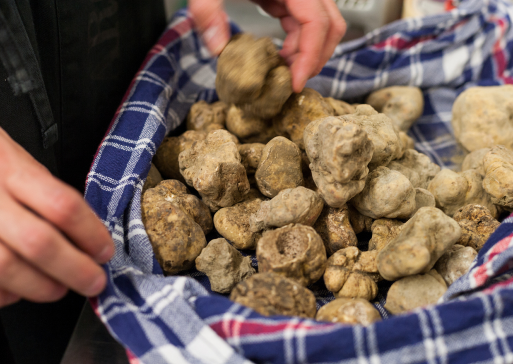 Five Foods to Fall in Love With in Piedmont - OLDWAYS - Cultural Food ...