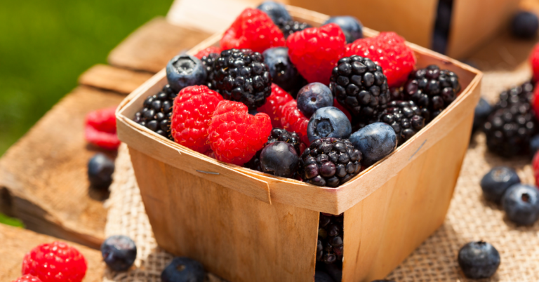 Beautiful Berries: Six Simple Recipes for Summer - OLDWAYS - Cultural ...